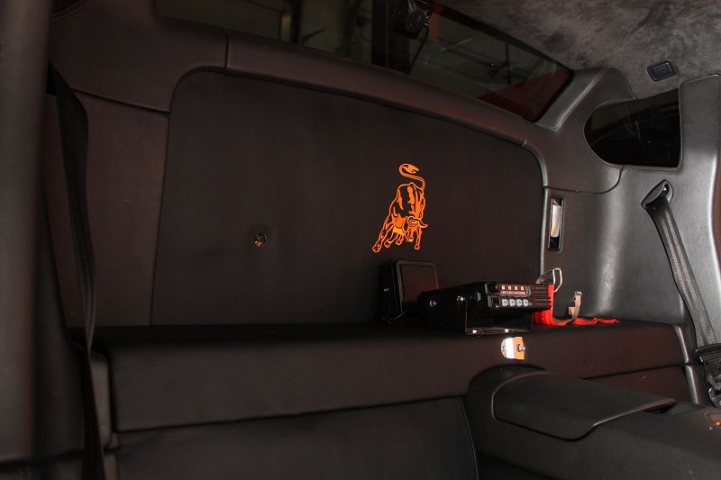 Delux Interiors. | VW Vortex - Volkswagen Forum