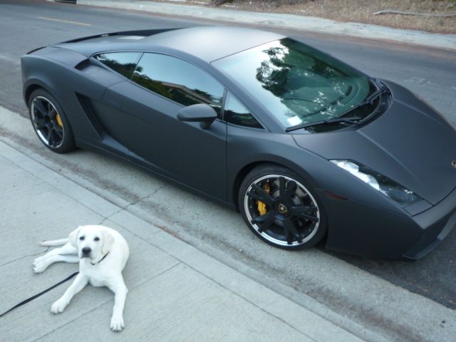 Updated Pics of My Matte Black Gallardo and New Puppy! - Automobili ...