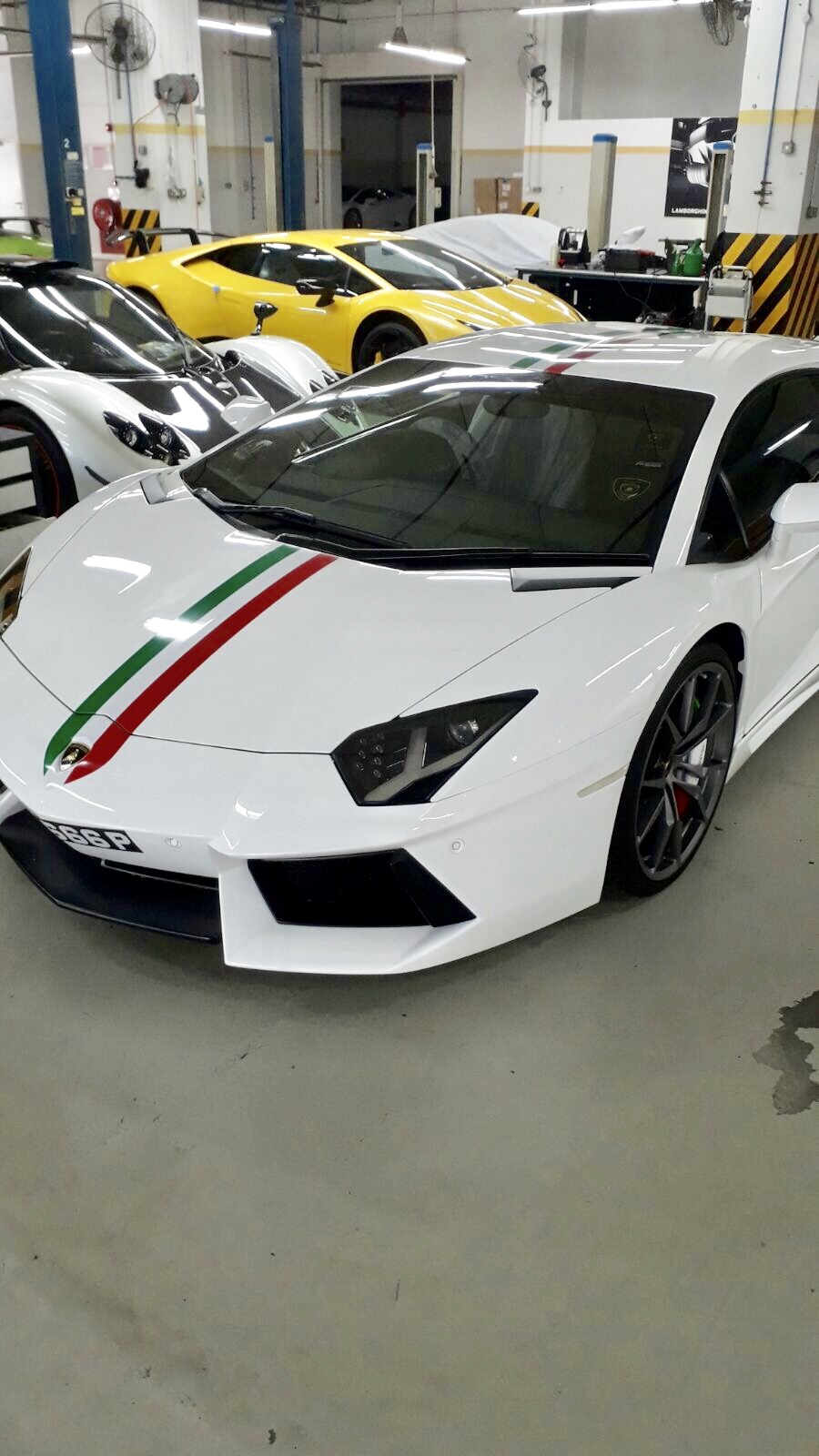 Ad Personam Italia stripes - Archived Content - Lambo Power