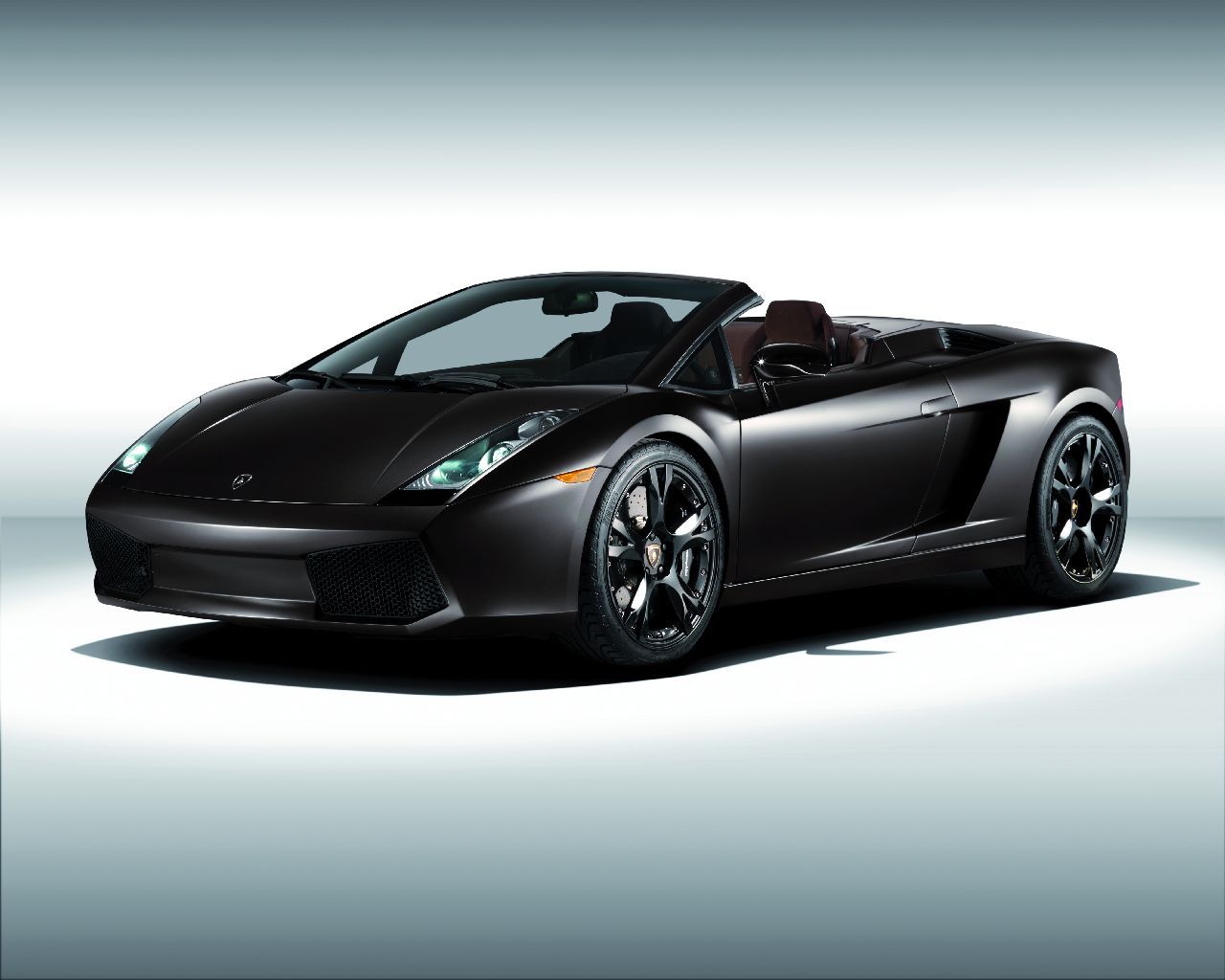 Marrone Apus - Automobili Lamborghini - Lambo Power