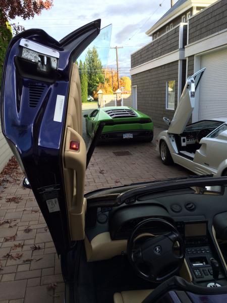 Kermit the frog "Huracan" - Automobili Lamborghini - Lambo Power